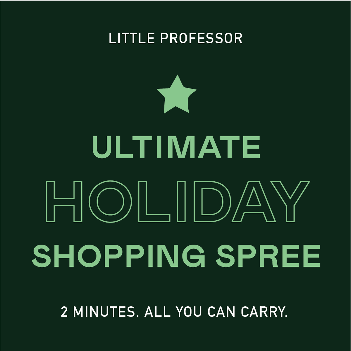 HOLIDAY SHOPPING SPREE – Little Professor