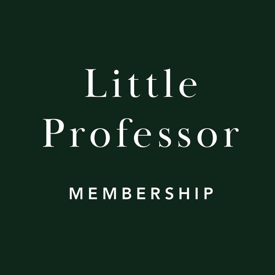 Little Professor
